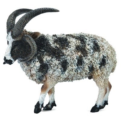 COLLECTA 88728 OVCE VELKOROHÁ - COLLECTA - COL-88728 | Svět Modelů